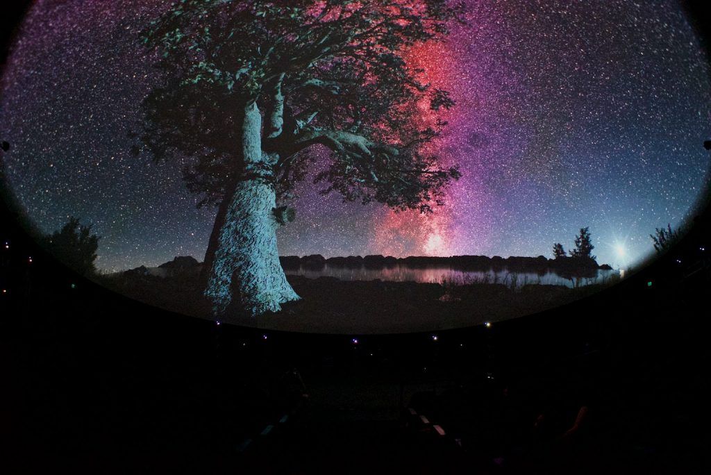 Dazzling the audience of one of America’s largest film festivals | Screenberry